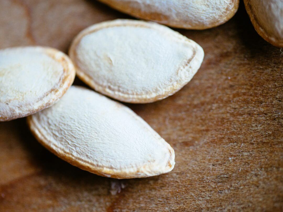 How to Save Seeds to Grow a More Productive Garden Next Year - Garden Betty