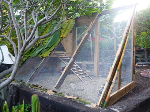 Aloha to the New Tiki Coop! - Garden Betty