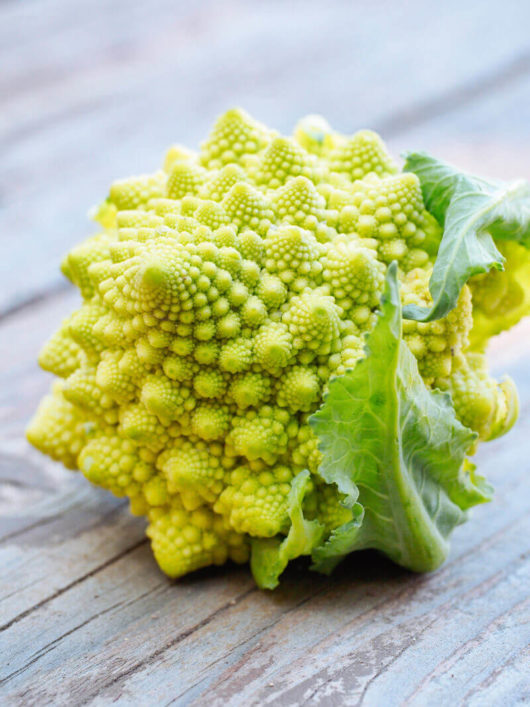 There's a Fibonacci Fractal in This Remarkable Romanesco Broccoli ...