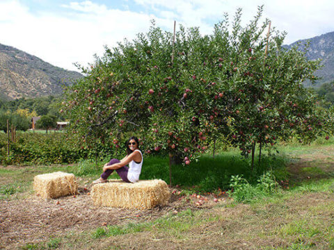 First Day of Fall – Garden Betty