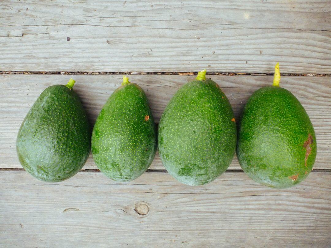 Picking Avocados: Best Way to Tell If an Avocado Is Ripe - Garden Betty