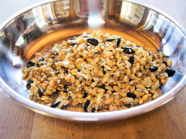 The Simplest Way to Ferment Chicken Feed (and Why You Should Start ...