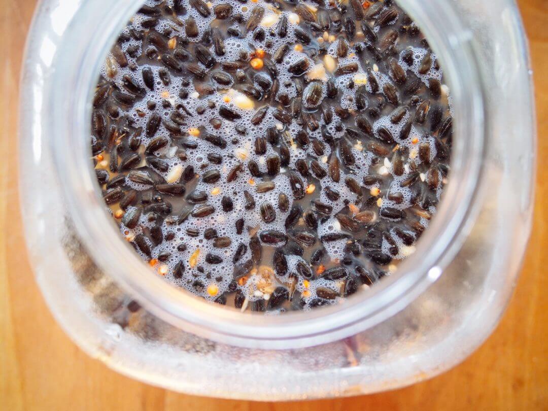 The Simplest Way to Ferment Chicken Feed (and Why You Should Start ...