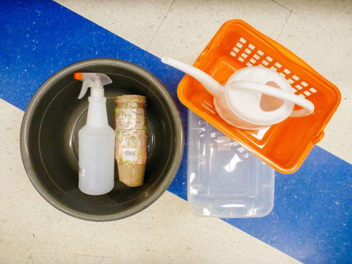 Dollar Store Deals: Secrets to Cheap Seed Starting Supplies