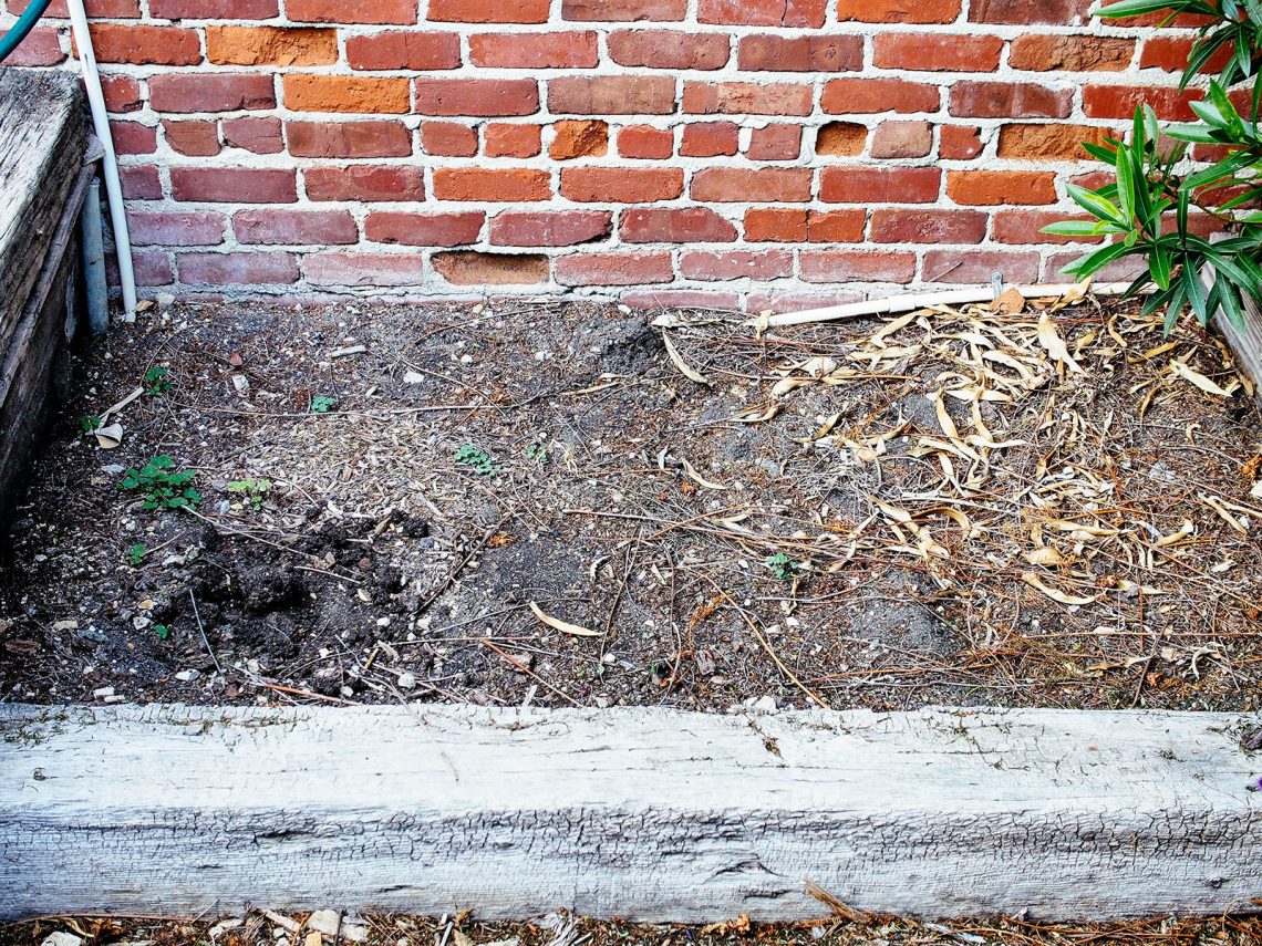 The No-Dig Garden Method: How to Make Amazing Soil With Less Work ...