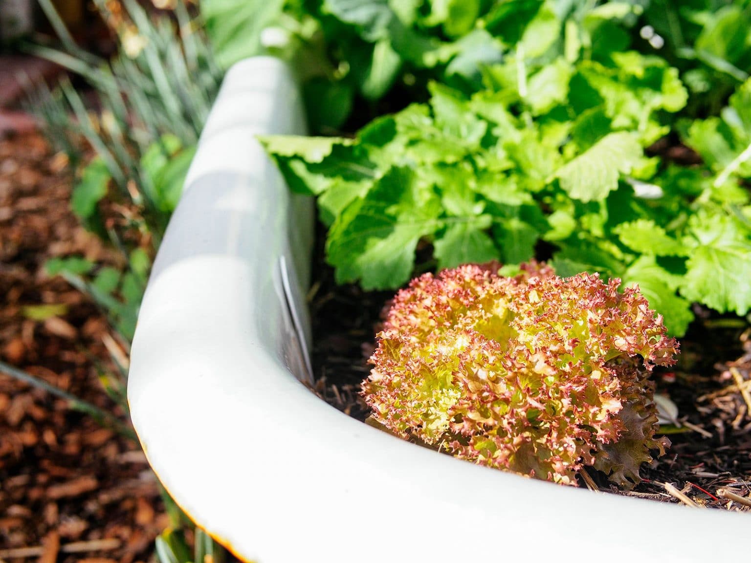 The No-Dig Garden Method: How to Make Amazing Soil With Less Work ...