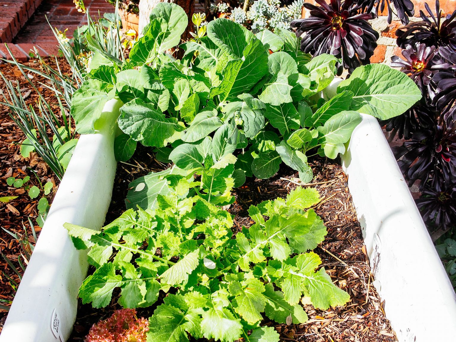 The No-Dig Garden Method: How to Make Amazing Soil With Less Work ...