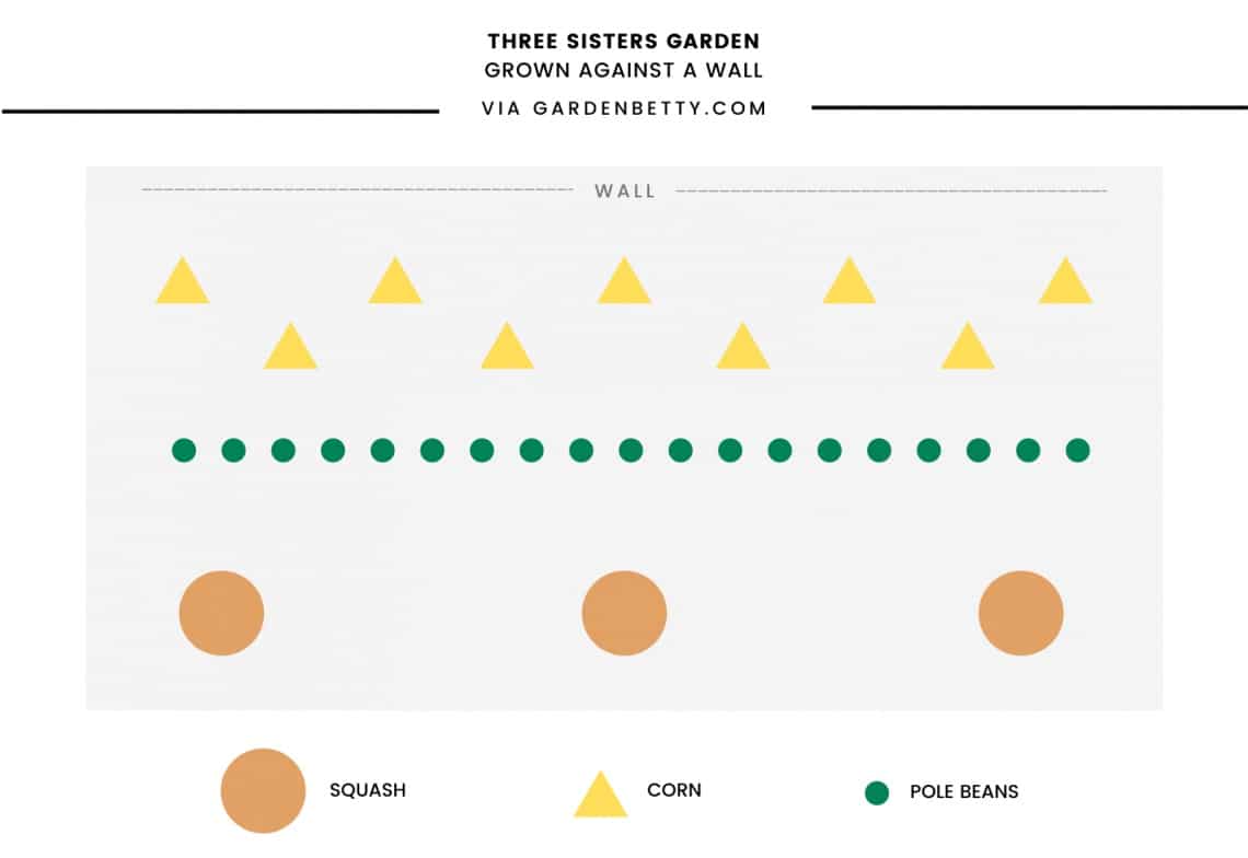 How to Plant a Three Sisters Garden (Visual Layouts Included) – Garden ...