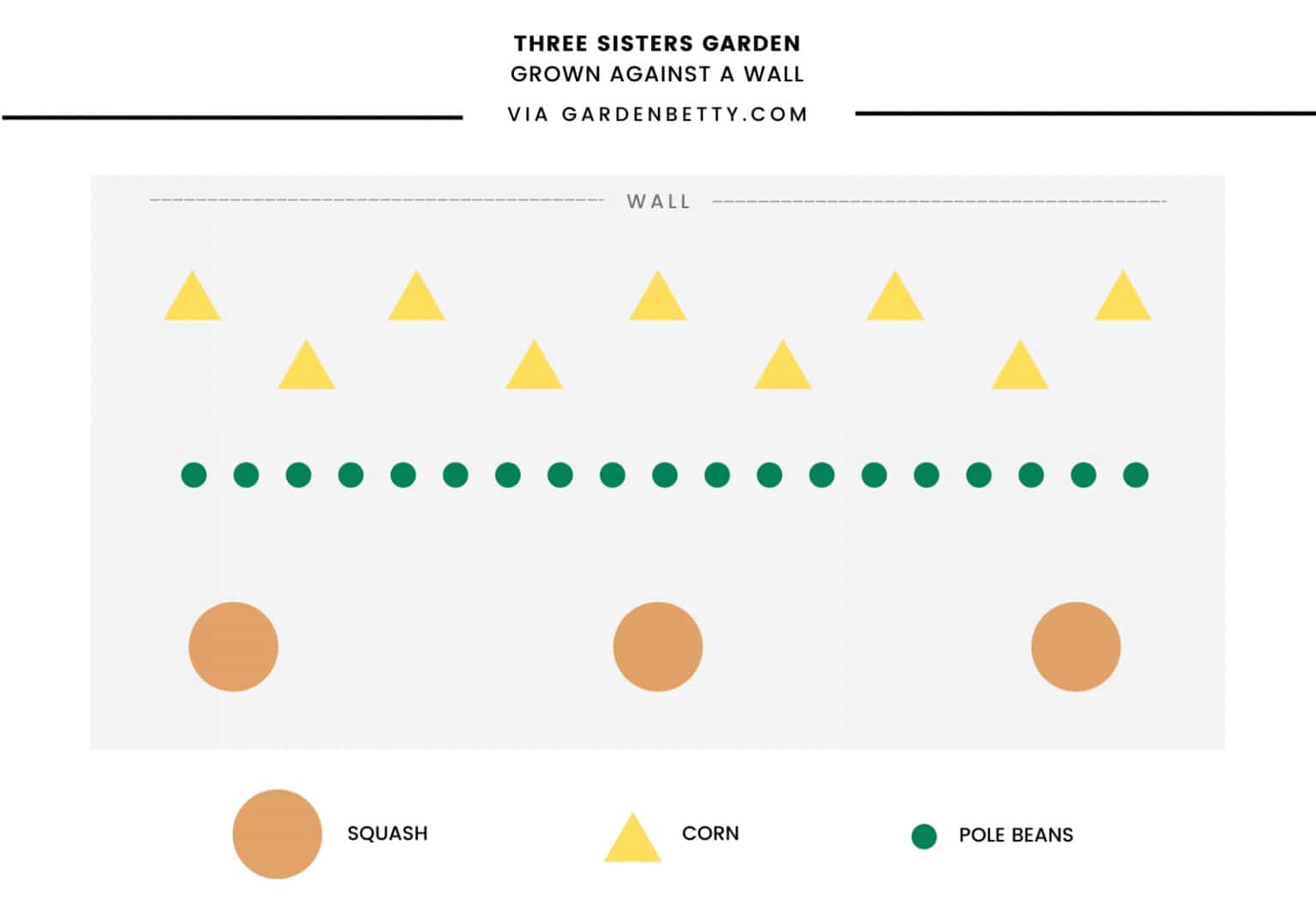 How to Plant a Three Sisters Garden: The Original Companion Plants ...