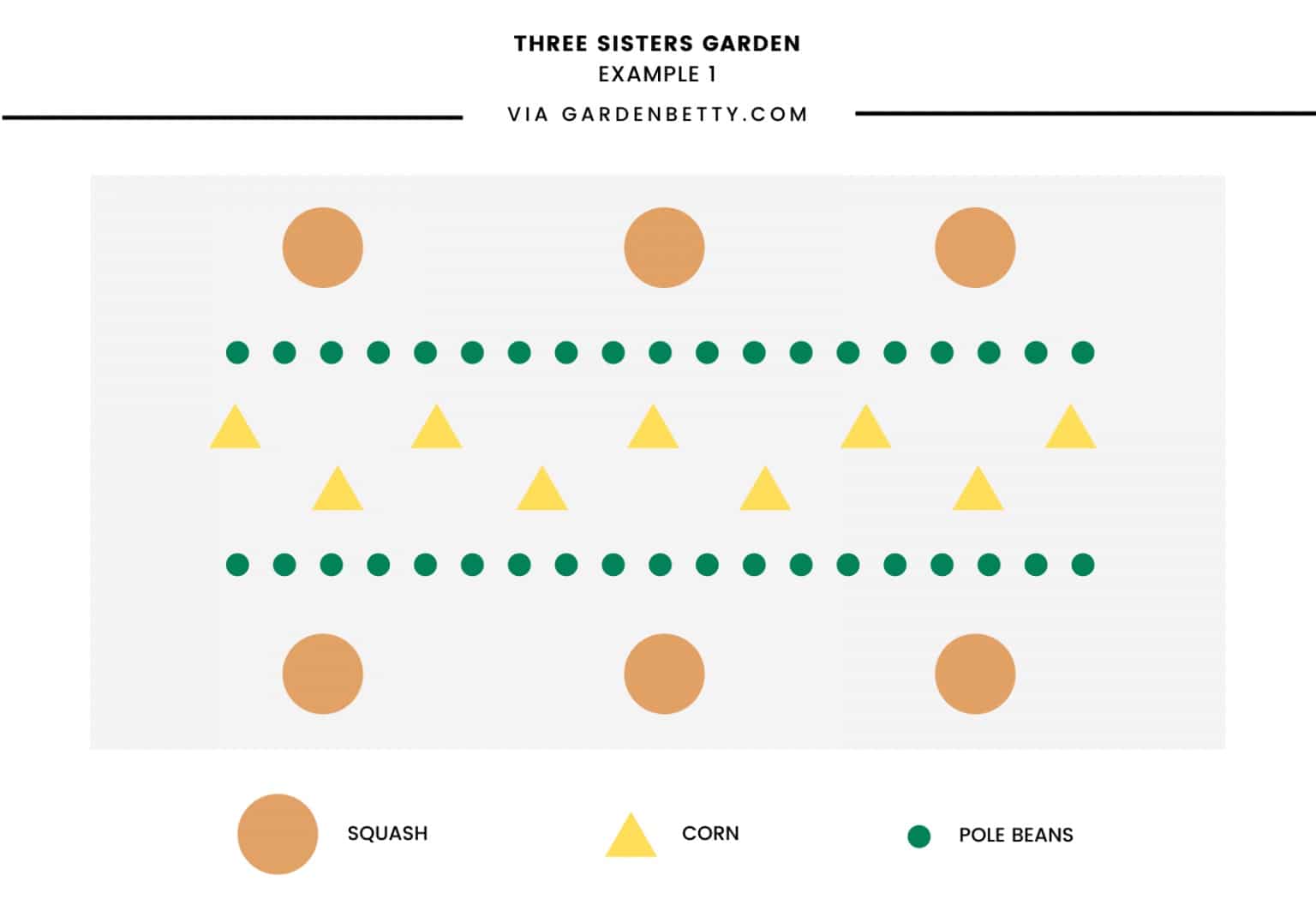 How to Plant a Three Sisters Garden (Visual Layouts Included) – Garden ...