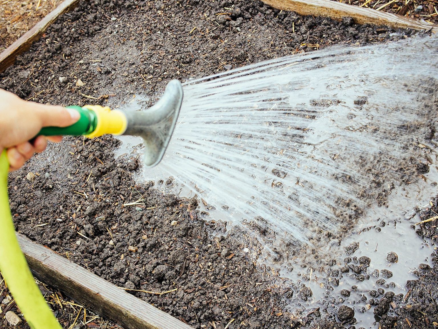 Solarizing Your Garden: How to Use the Sun to Control Weeds and Pests ...