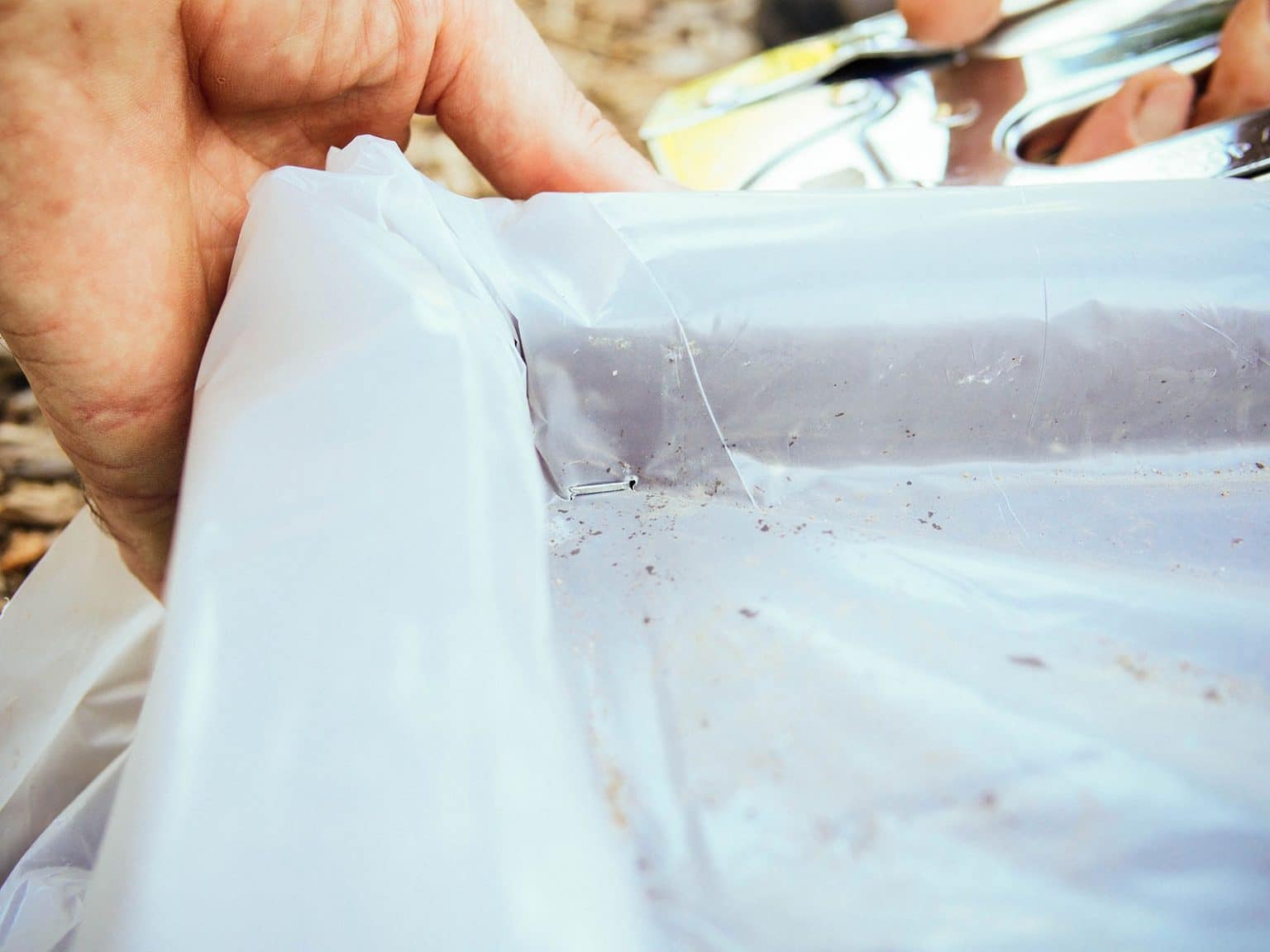 Solarizing Your Garden: How to Use the Sun to Control Weeds and Pests ...