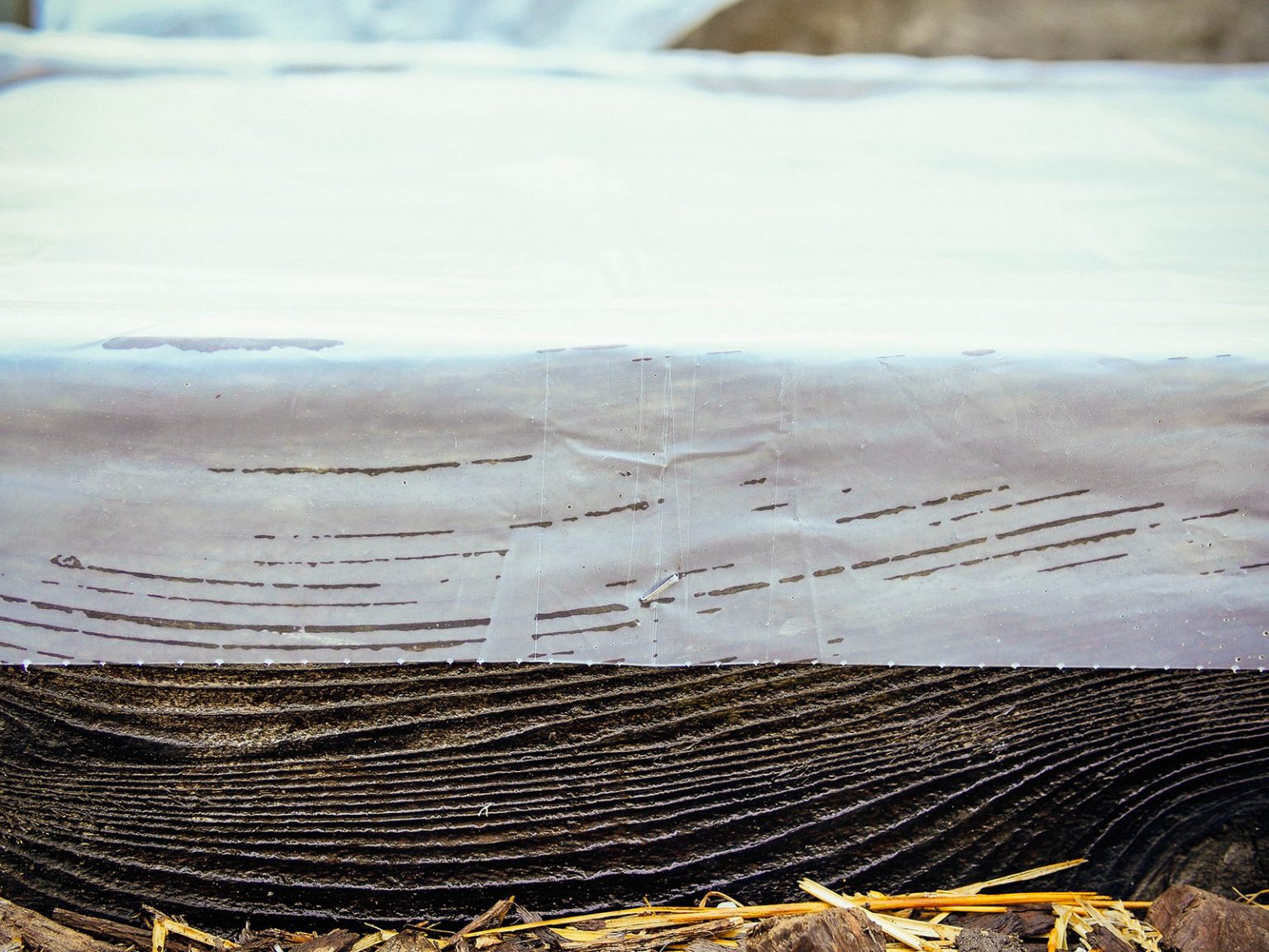 Solarizing Your Garden: How to Use the Sun to Control Weeds and Pests ...