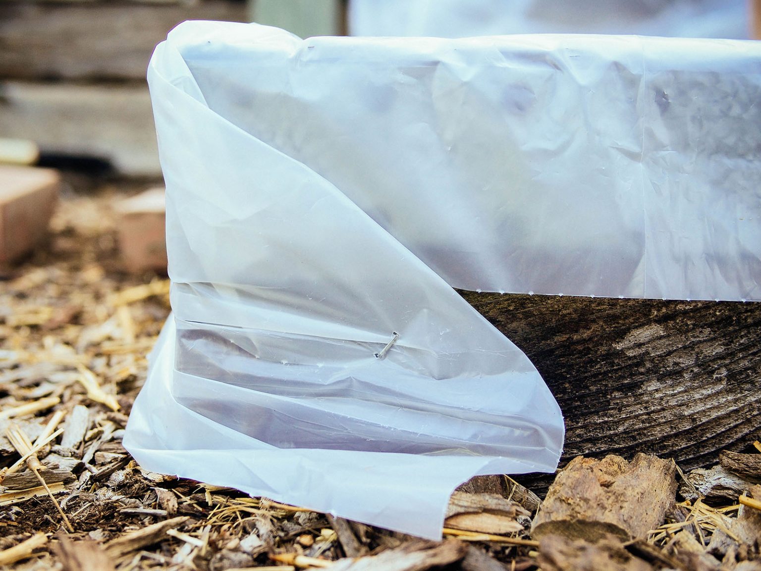 Solarizing Your Garden: How to Use the Sun to Control Weeds and Pests ...