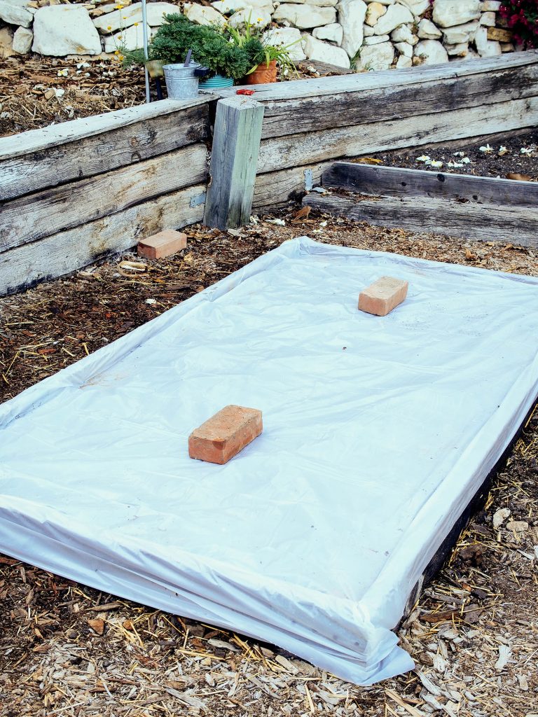 Solarizing Your Garden: How to Use the Sun to Control Weeds and Pests ...