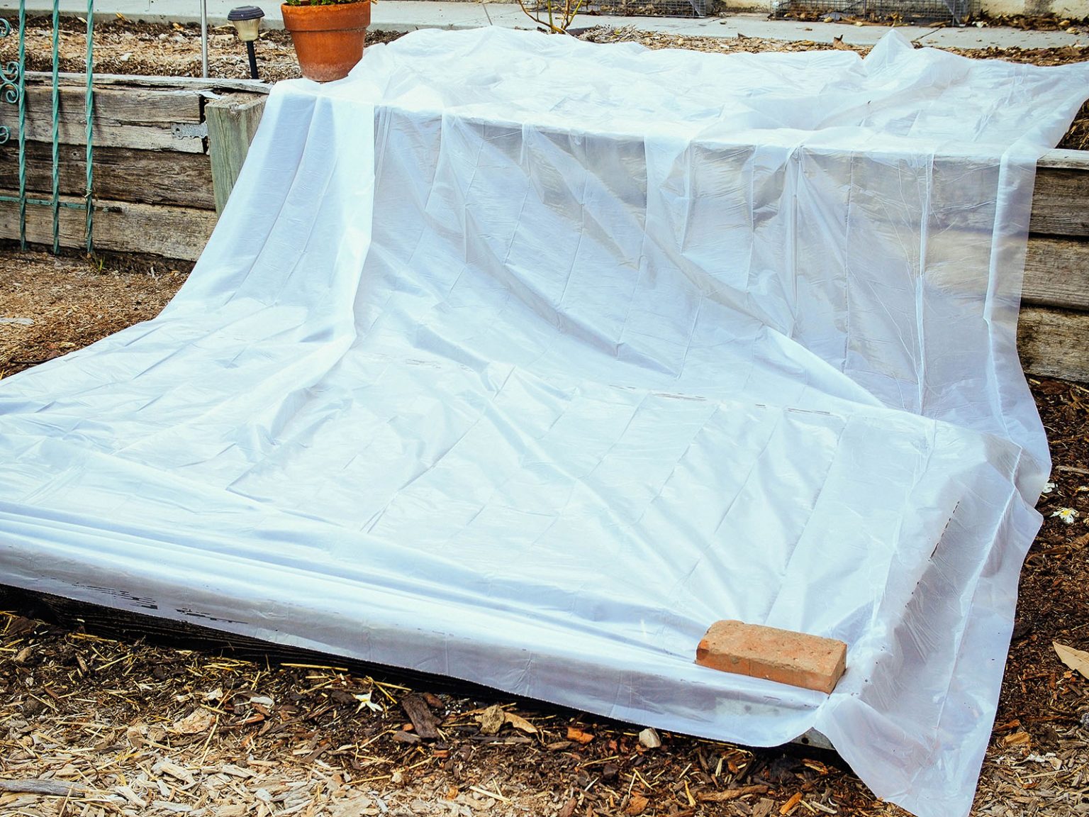 Solarizing Your Garden: How to Use the Sun to Control Weeds and Pests ...