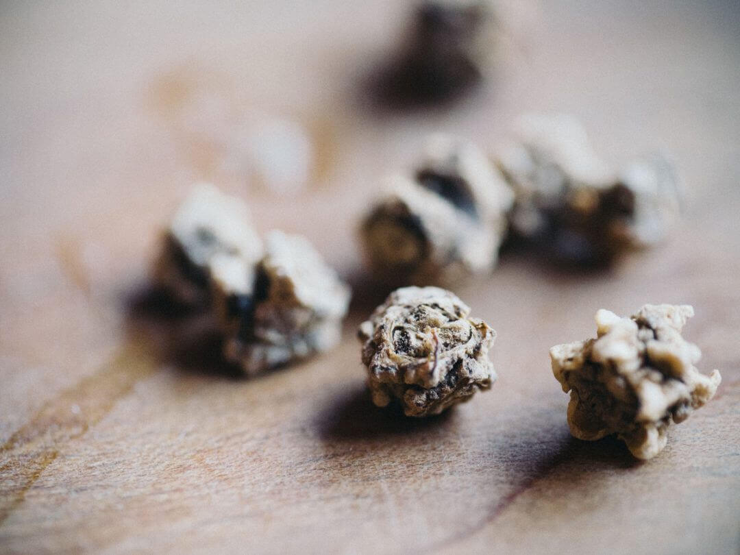 How to Soak Seeds and Speed Up Germination Time – Garden Betty