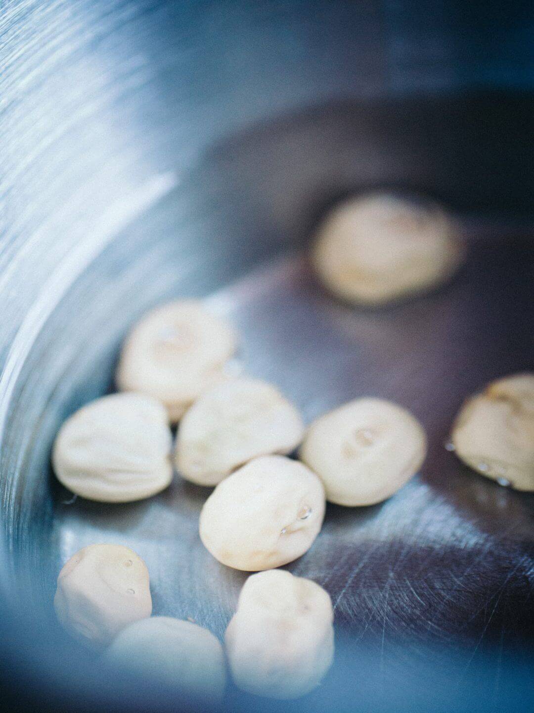 How to Soak Seeds and Speed Up Germination Time – Garden Betty