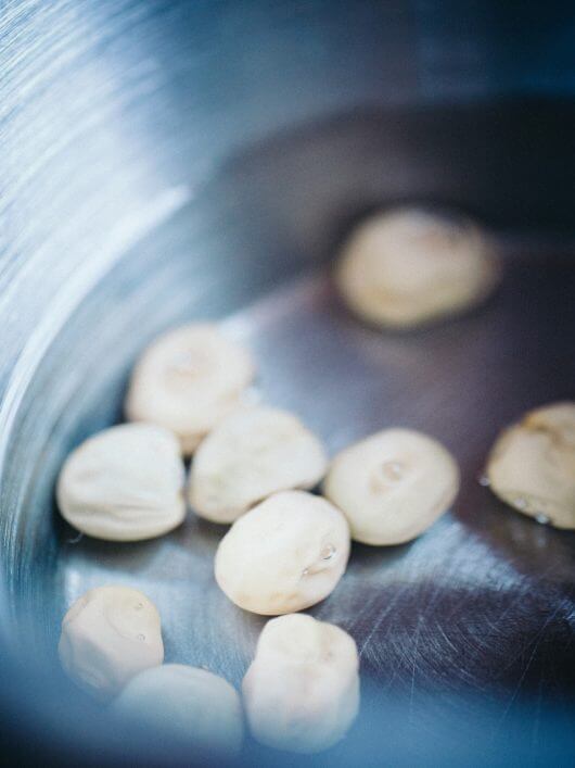 How to Soak Seeds and Speed Up Germination Time – Garden Betty