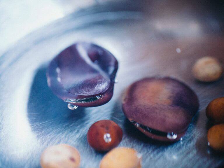 How to Soak Seeds and Speed Up Germination Time