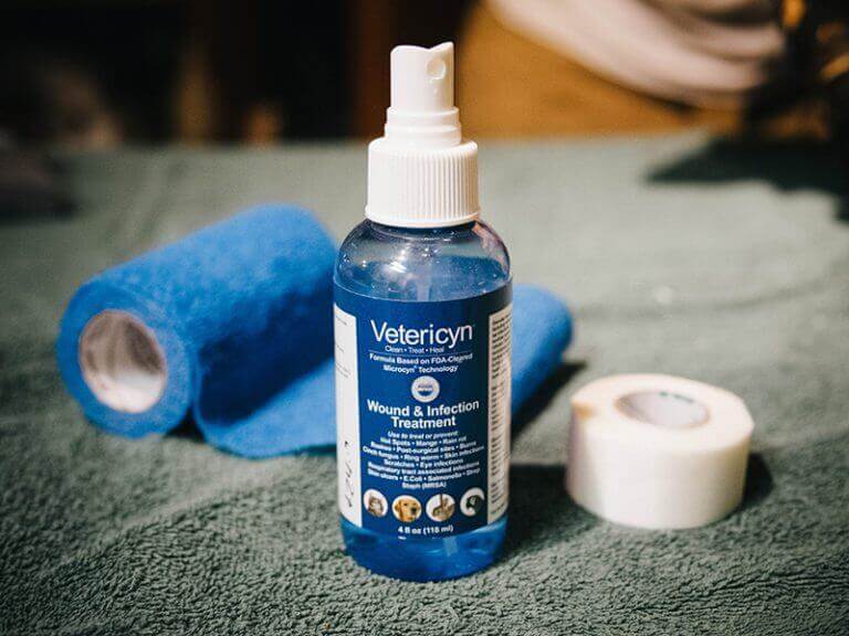 Chicken First Aid: How to Wrap a Sprained Wing – Garden Betty