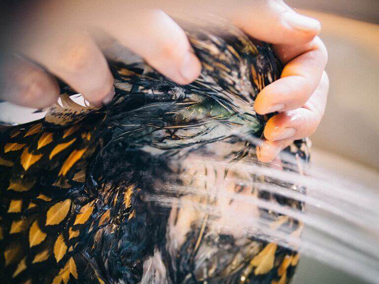 Chicken First Aid: How to Wrap a Sprained Wing – Garden Betty