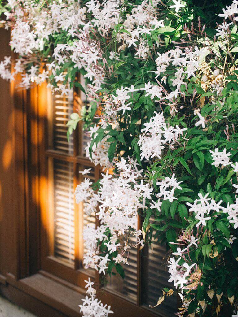 Smells of Spring - Garden Betty