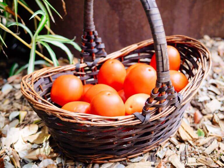 The 10 Best Fruits and Vegetables That Help You Sleep Better