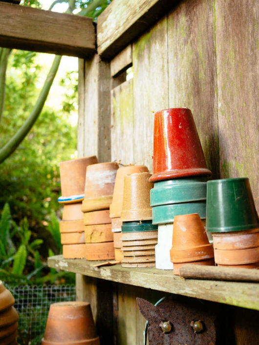 Read This Before You Wash Another Plant Pot - Garden Betty