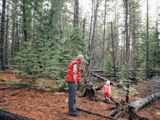 Starting Our Oregon Christmas Tree Tradition - Garden Betty