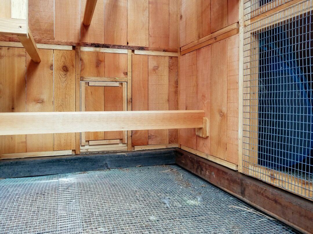 9 Ways to Predator-Proof a Chicken Coop and Chicken Run - Garden Betty