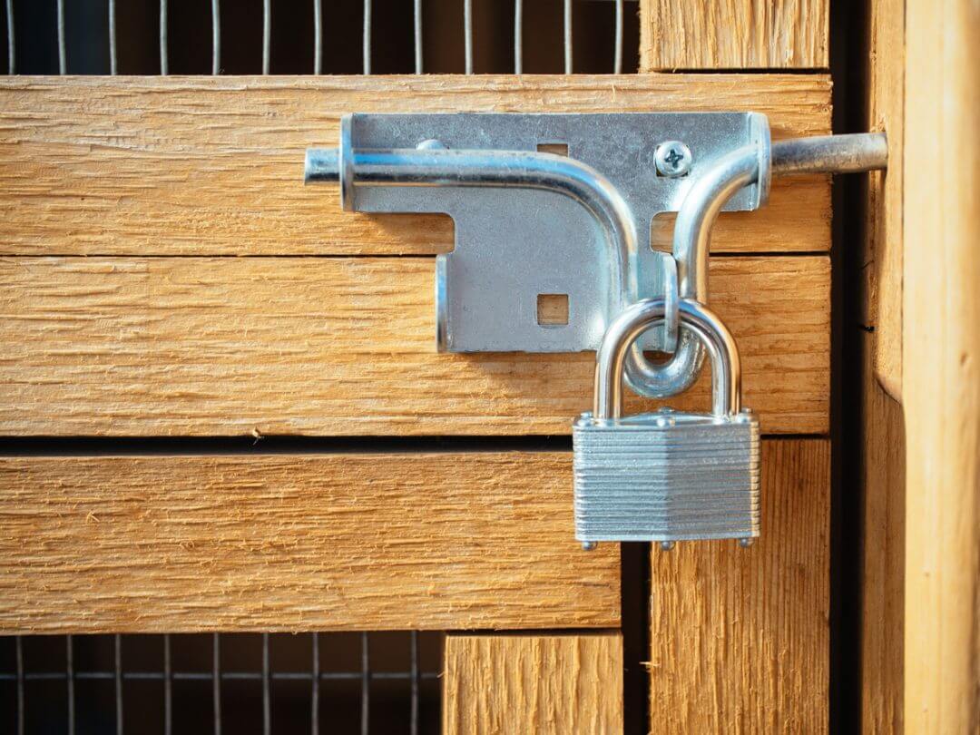 9 Ways to Predator-Proof a Chicken Coop and Chicken Run – Garden Betty