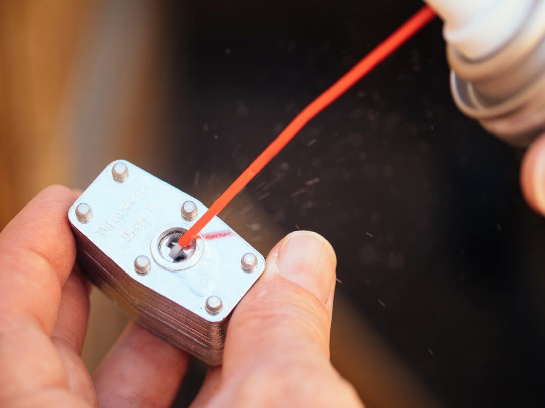 9 Ways to Predator-Proof a Chicken Coop and Chicken Run – Garden Betty