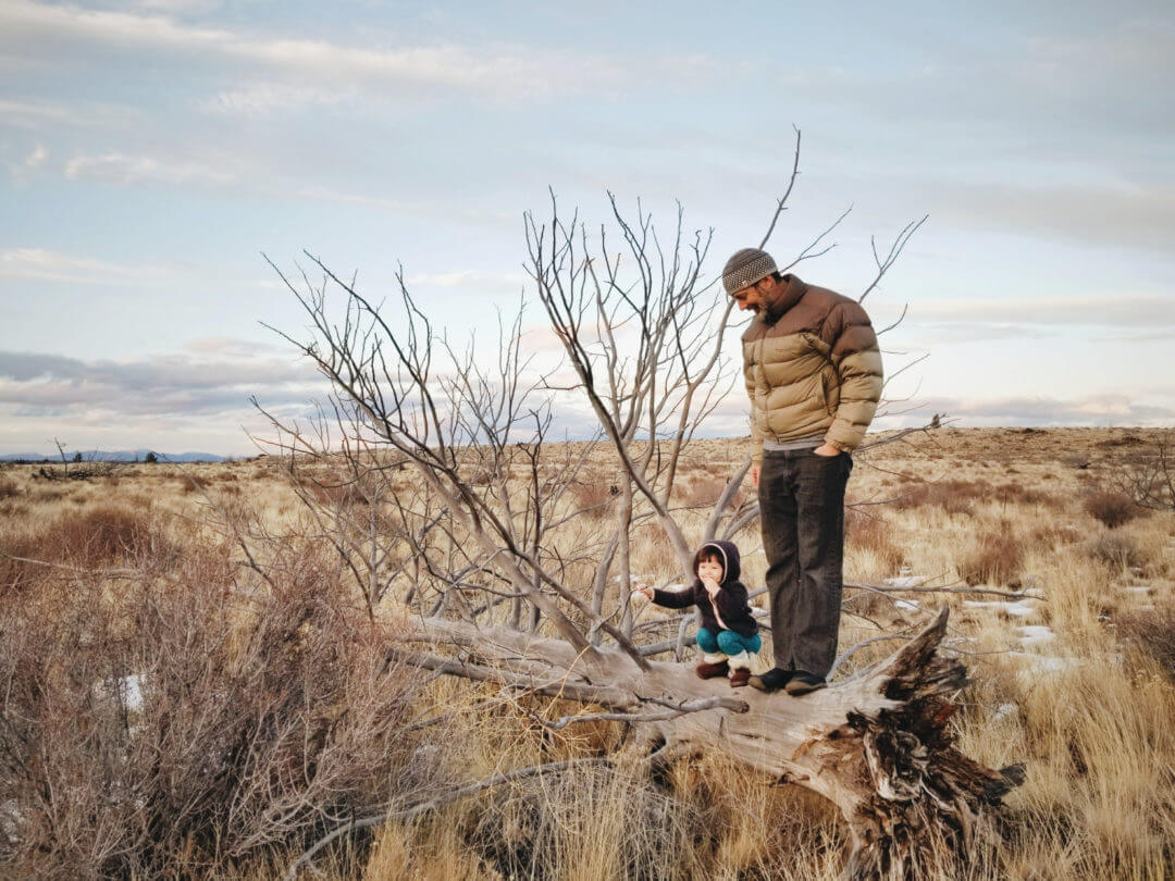 How We Found Land to Build On—and How You Can, Too – Garden Betty