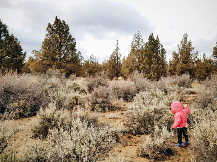 How We Found Land to Build On—and How You Can, Too – Garden Betty