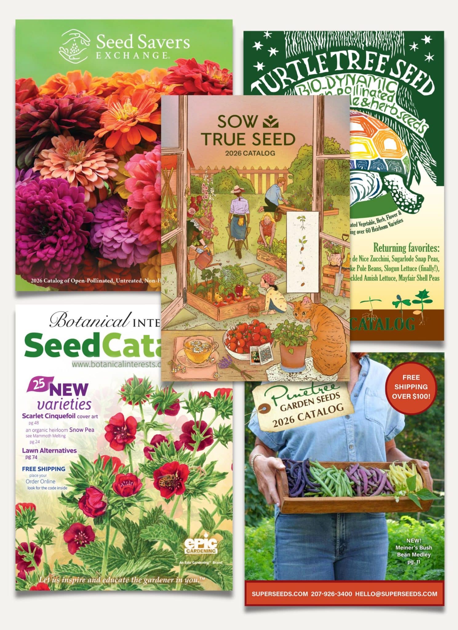 The Best Seed Catalogs to Request in 2026 - Garden Betty