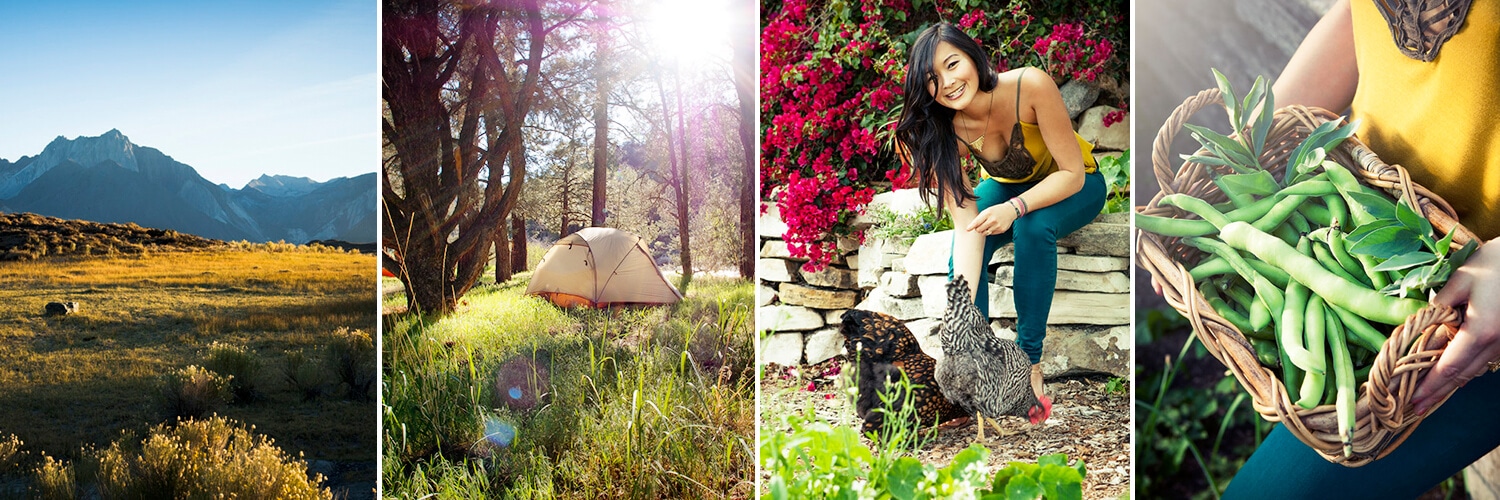 The Route 66 Cookbook – Garden Betty