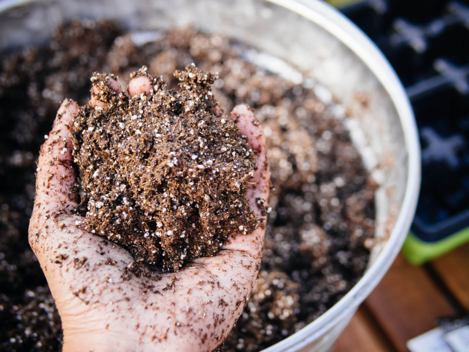 How to Use Perlite to Improve Soil and Boost Plant Growth – Garden Betty