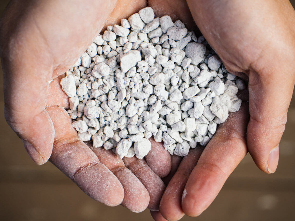 How to Use Perlite to Improve Soil and Boost Plant Growth – Garden Betty