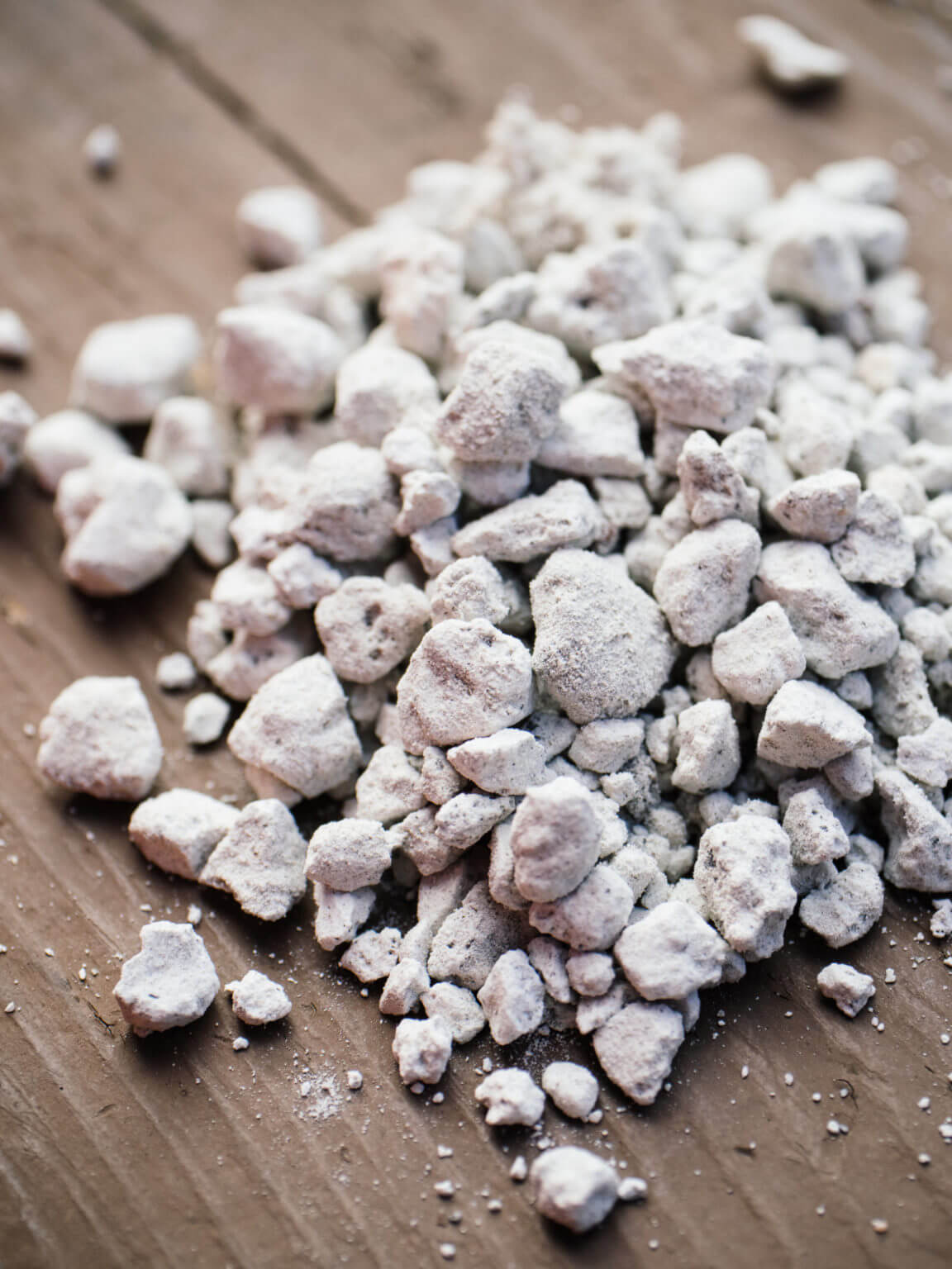 How to Use Perlite to Improve Soil and Boost Plant Growth – Garden Betty