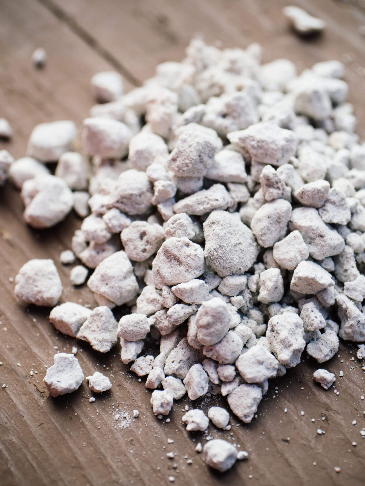 How to Use Perlite to Improve Soil and Boost Plant Growth – Garden Betty