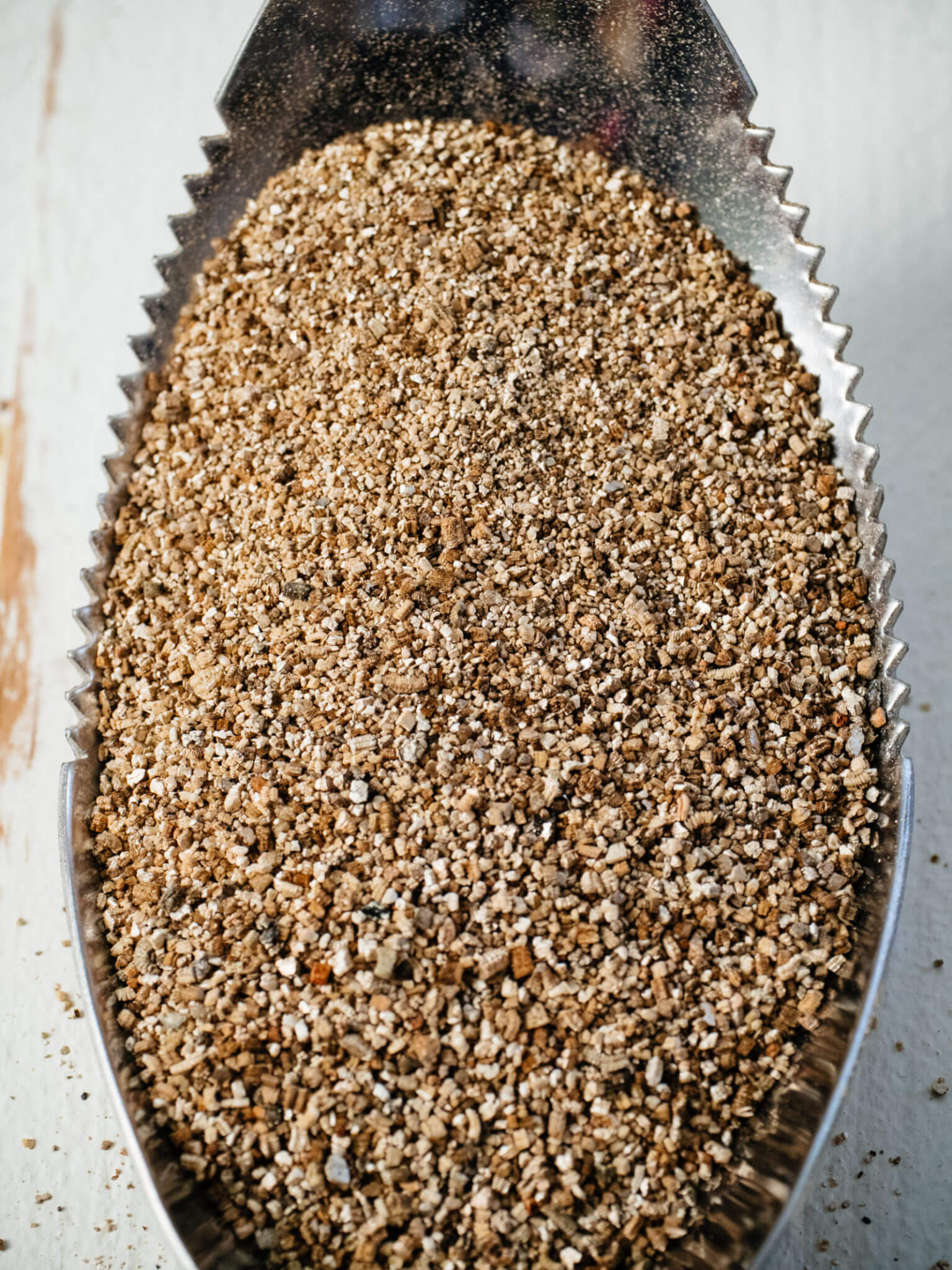 Perlite vs. Vermiculite: How and Why to Use Them - Garden Betty
