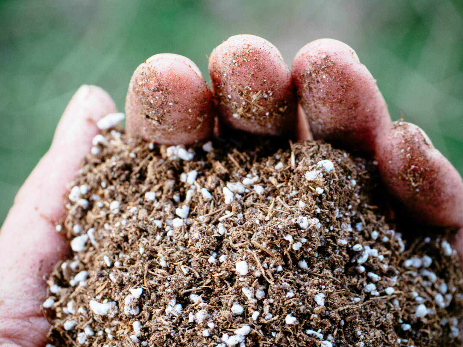 Perlite vs. Vermiculite: How and Why to Use Them - Garden Betty
