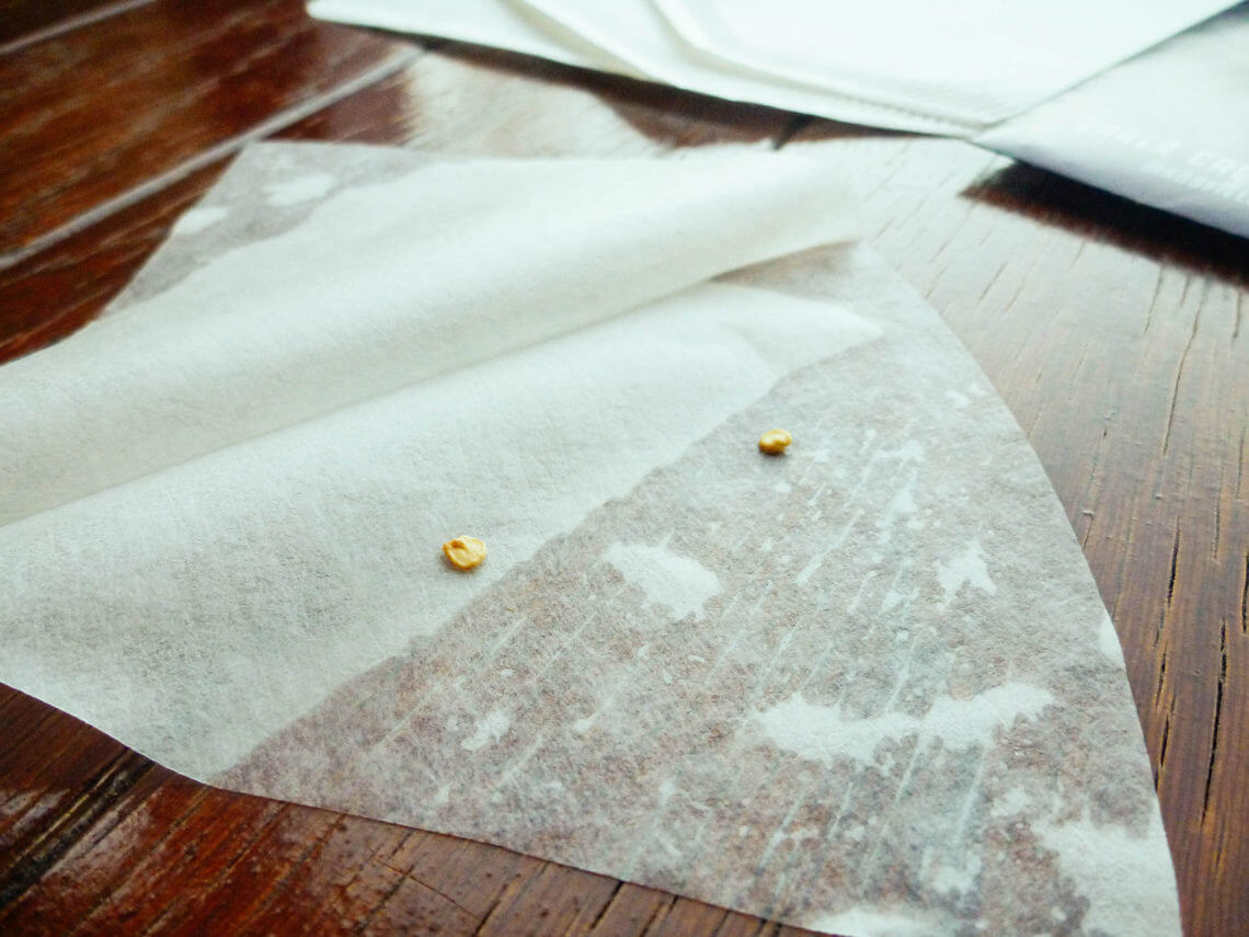 Germinate Seeds Quickly With Coffee Filters or Paper Towels