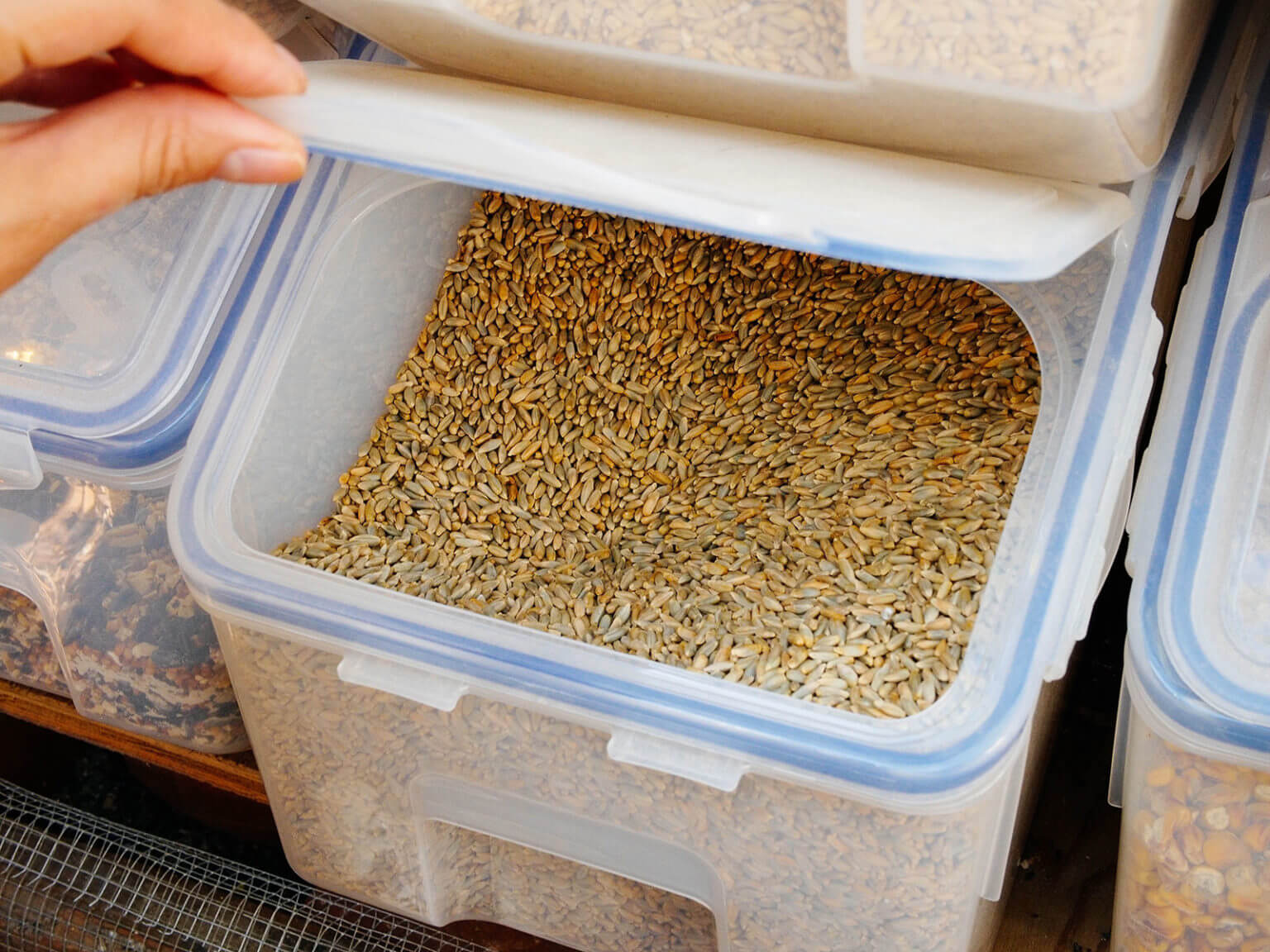 Homemade Soy-Free Corn-Free Chicken Feed With Whole Grains - Garden Betty