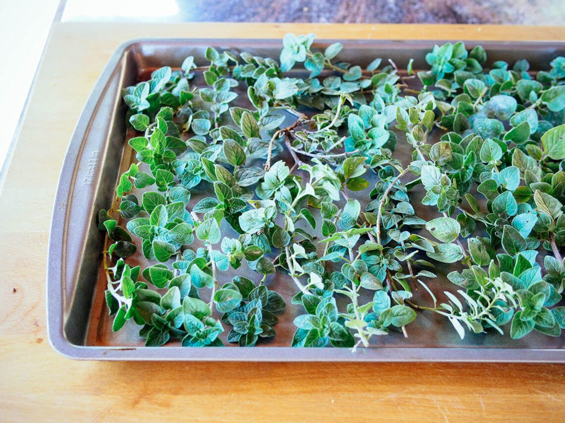 How to Dry Oregano (and Other Herbs) Fast—Use the Oven! - Garden Betty