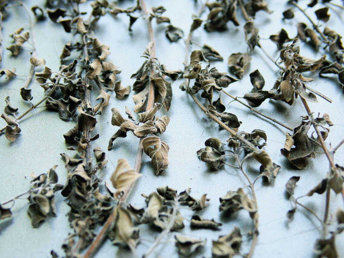 How to Dry Oregano (and Other Herbs) Fast—Use the Oven! - Garden Betty