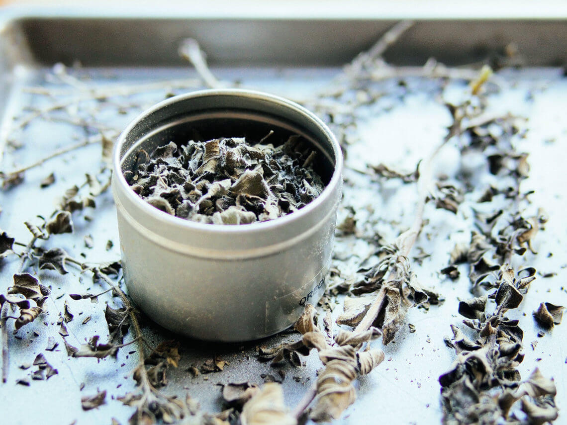 How to Dry Oregano (and Other Herbs) Fast—Use the Oven! - Garden Betty