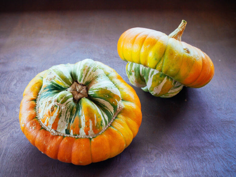 How to Cure Pumpkins and Squashes So They Last All Winter - Garden Betty