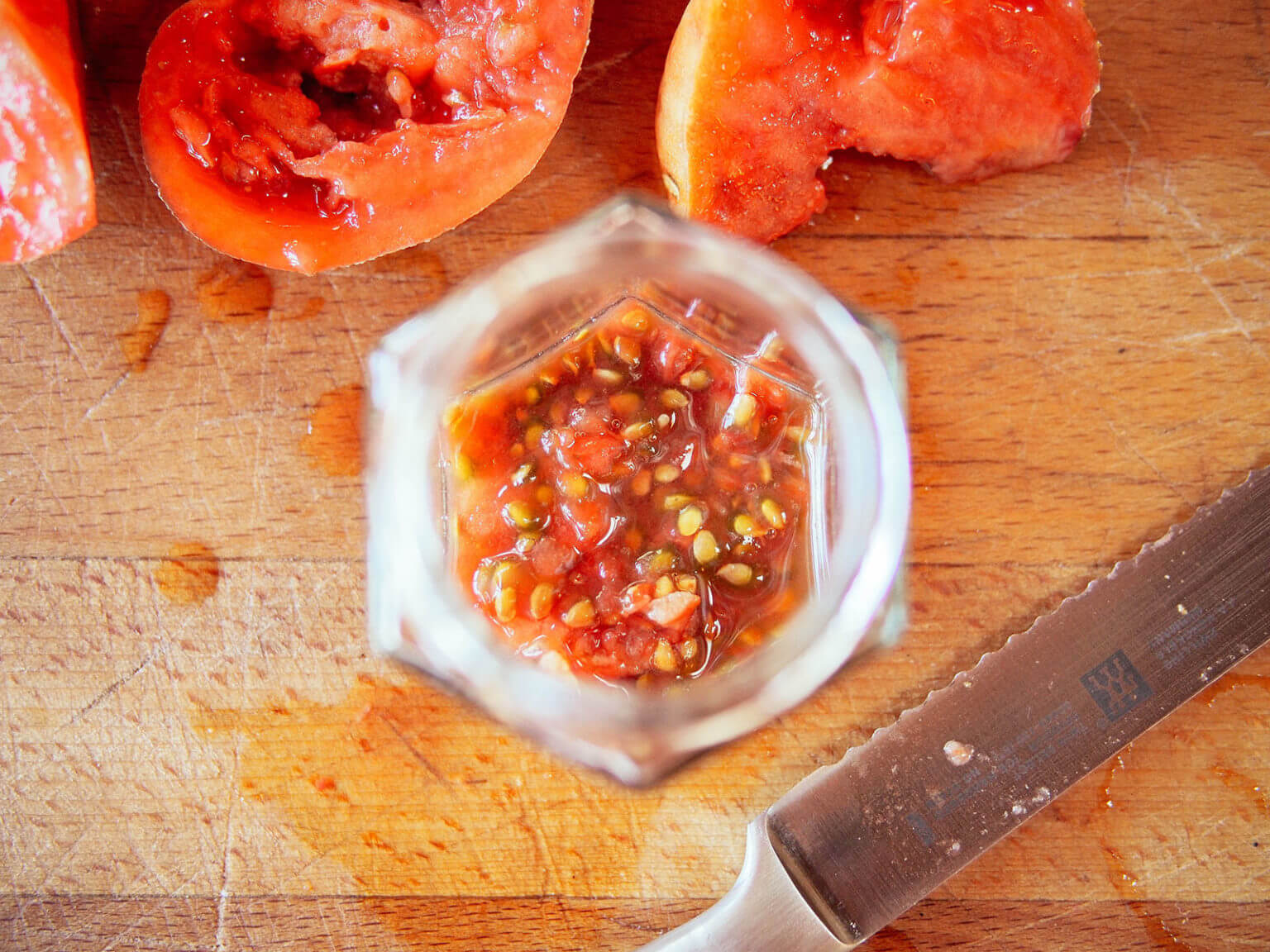 The Power of Fermenting and Saving Tomato Seeds